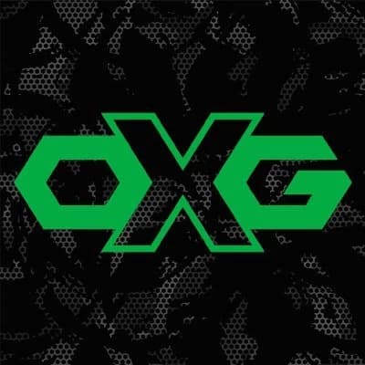 Breath of Fresh Air: Oxygen Esports announces new Valorant Challengers ...